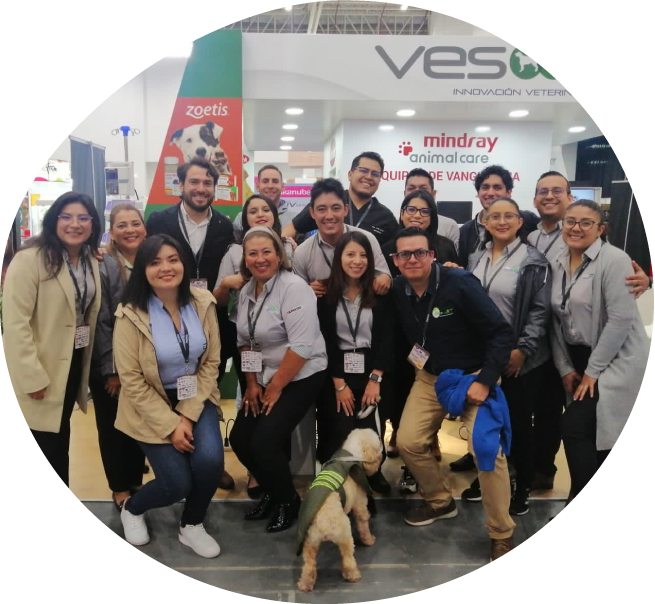 Quienes Somos VES - VES Innovación Veterinaria